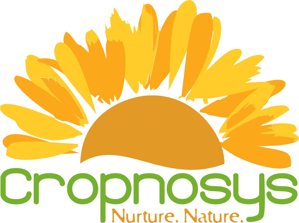 Cropnosys India Announces Successful Capital Raise of INR 375 crore - IssueWire