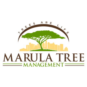 Marula Tree Management Solutions: Cultivating a Greener Future for Our ...