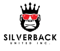Silverback acquires stake in GSE Systems and requests board and management changes - IssueWire